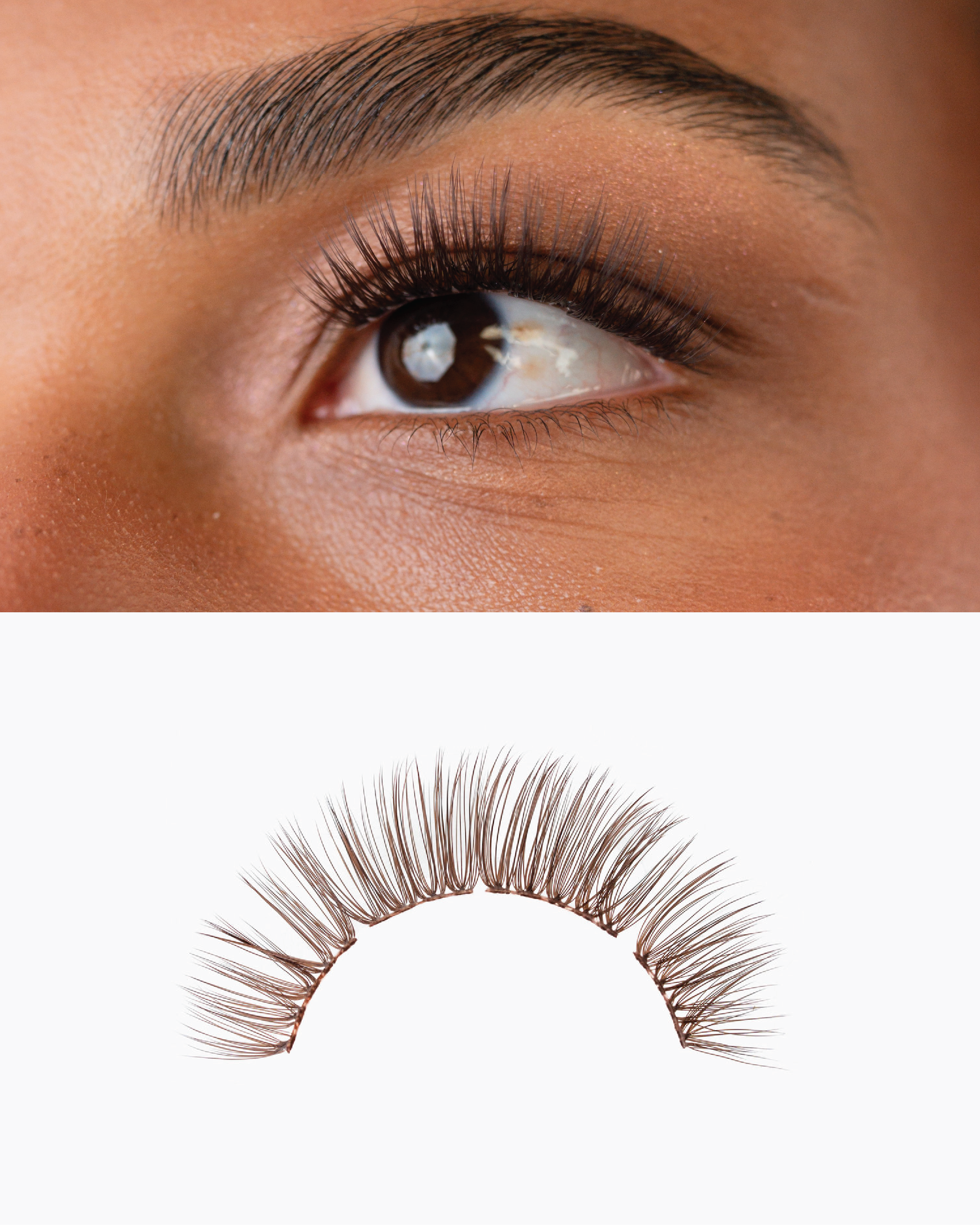 HAZEL (Espresso Edition) – Clique Lashes & Beauty